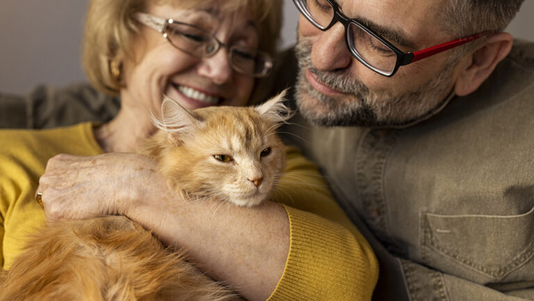 ¿Qué es la Ailurofilia? | Sumimascotas